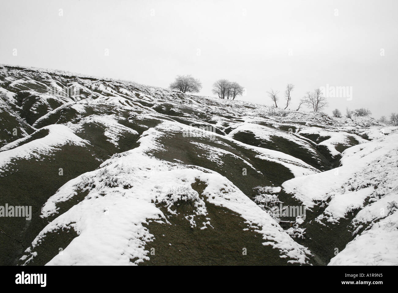 Plastic arts hi-res stock photography and images - Alamy