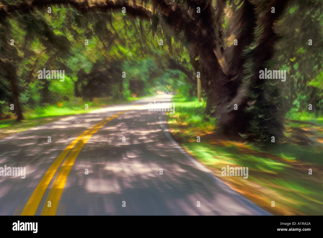 fish eye view of a country road at high speed Stock Photo - Alamy