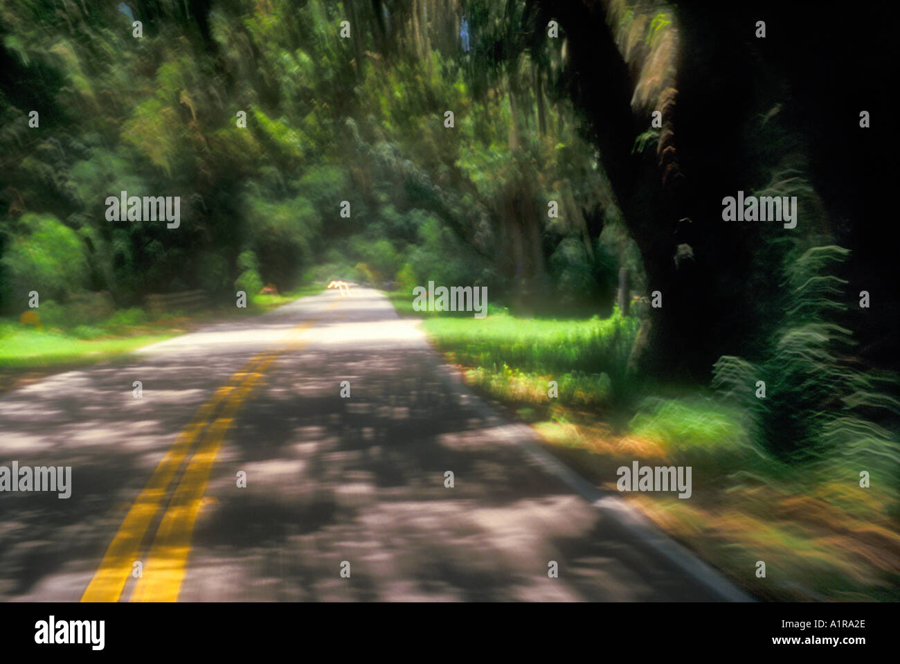 fish eye view of a country road at high speed Stock Photo - Alamy