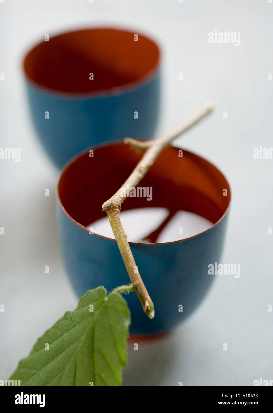 Of stalk teas hi-res stock photography and images - Alamy