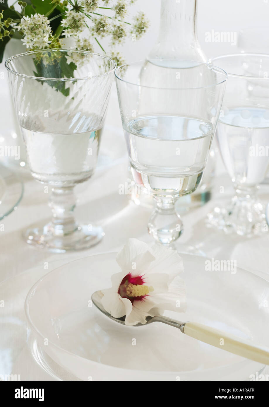 Decorated tables for weddings hi-res stock photography and images - Alamy