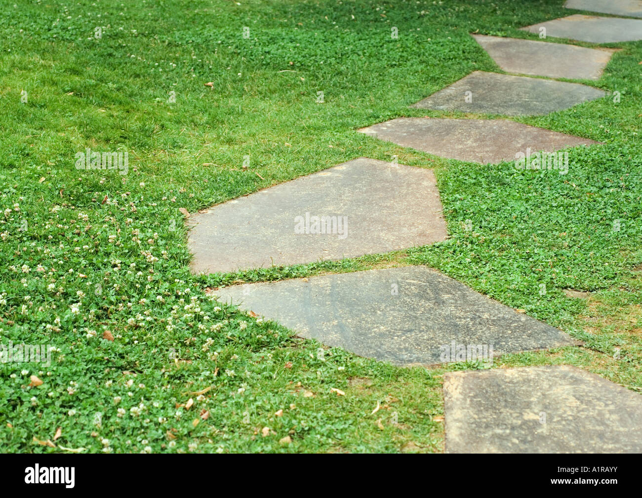 Stepping Stone Footpaths High Resolution Stock Photography and Images ...