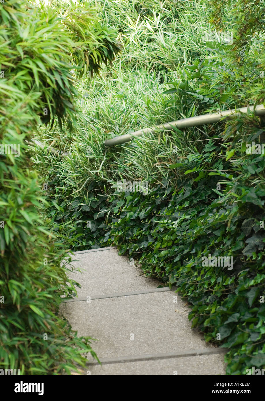 Pathway and rail in park Stock Photo - Alamy