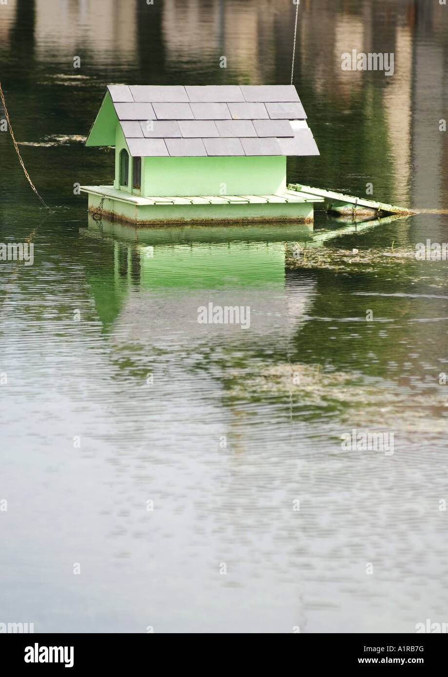 Floating duck house on pond hi-res stock photography and images - Alamy