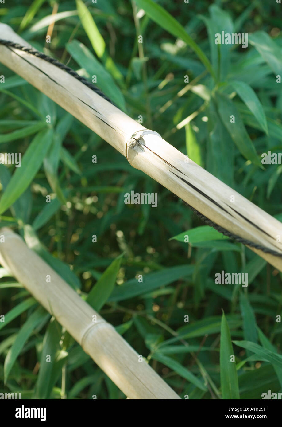 Close up view bamboo poles hi-res stock photography and images - Alamy