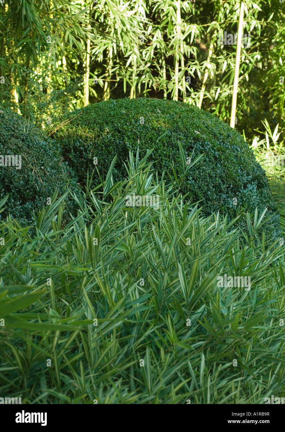 Landscaping, plants and bushes Stock Photo - Alamy
