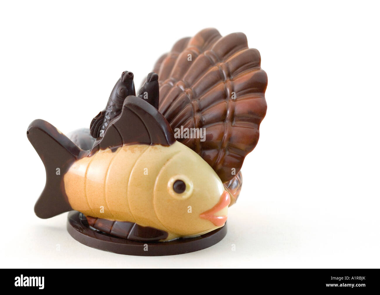 The original seashells hi-res stock photography and images - Alamy