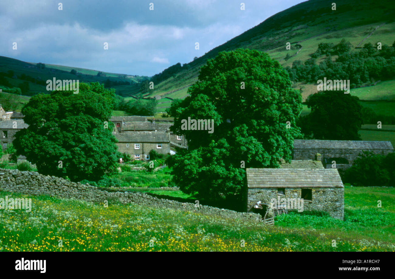 Village of Thwaite, Upper Swaledale, Yorkshire Dales National Park ...
