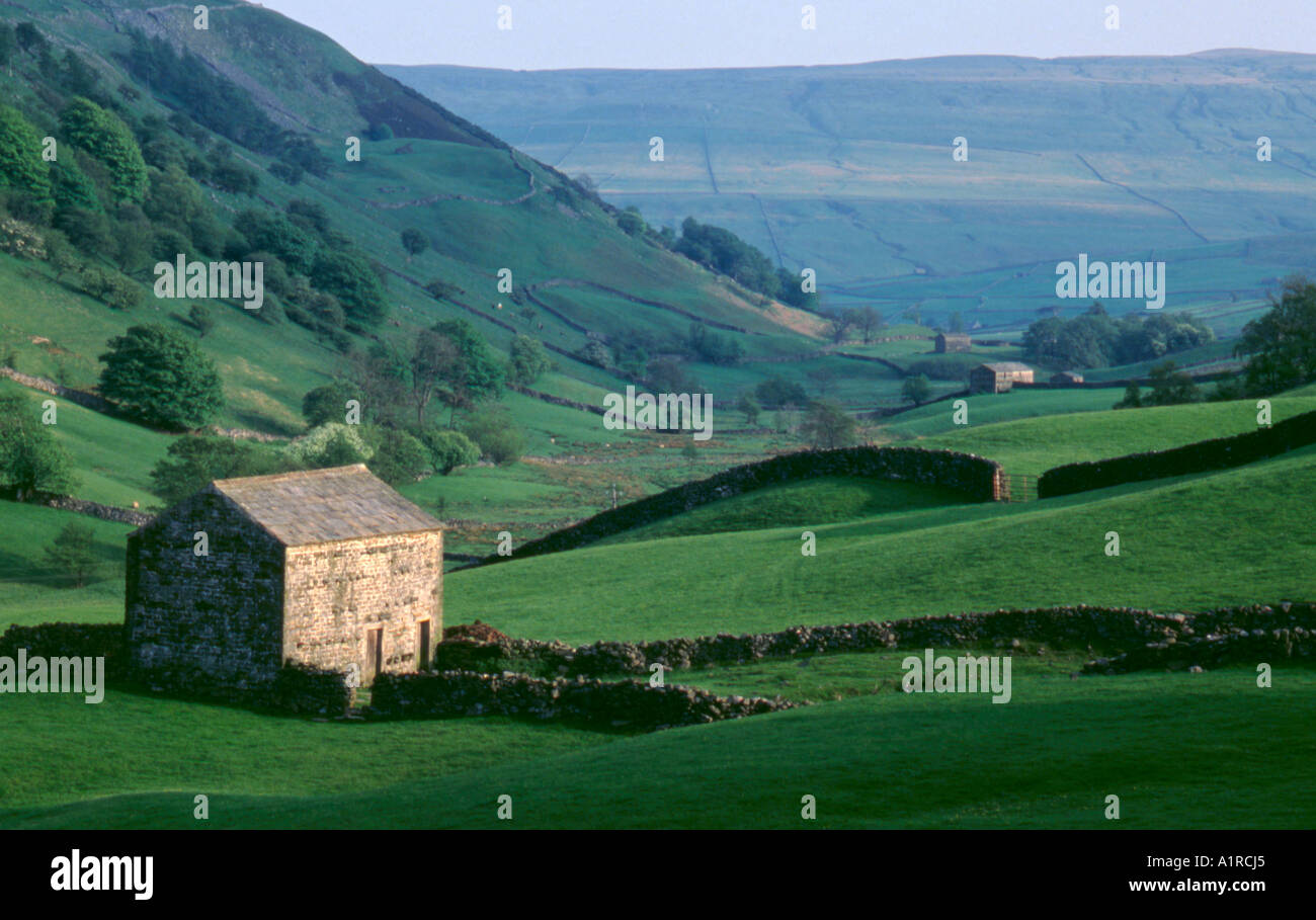 Stone barns and fields near Muker, Upper Swaledale, Yorkshire Dales ...