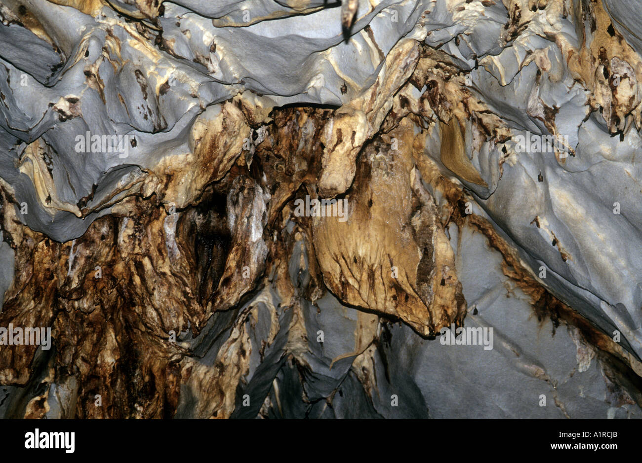 Guano cave hi-res stock photography and images - Alamy