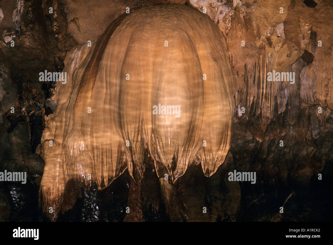 A detail of the underground river cave wall in puerto princessa ...