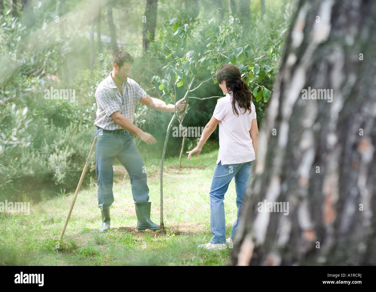 Couple planting tree Stock Photo - Alamy
