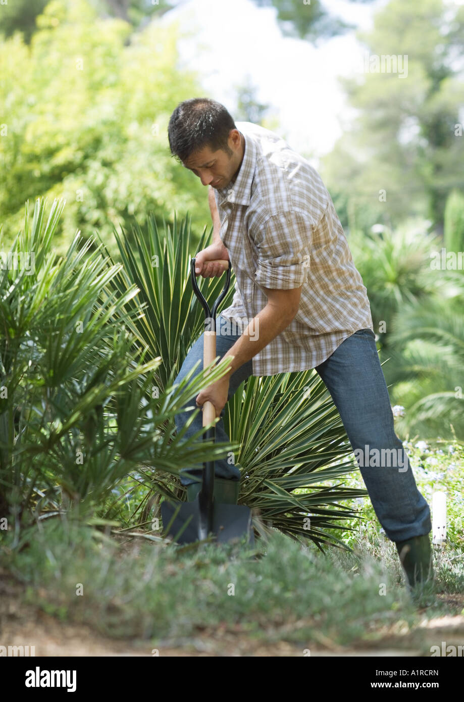 Man doing yardwork Stock Photo - Alamy