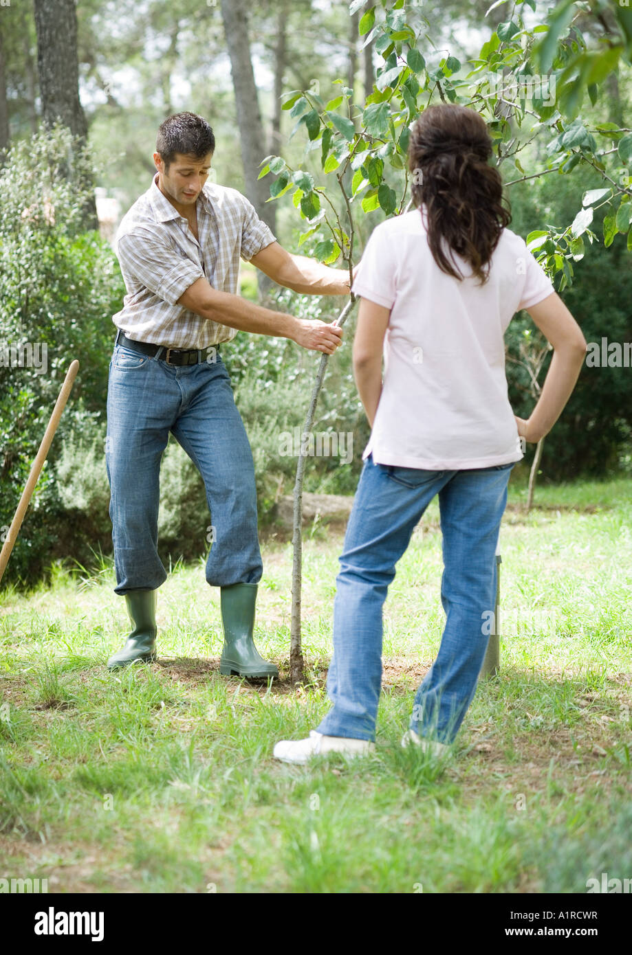 Couple planting tree Stock Photo - Alamy