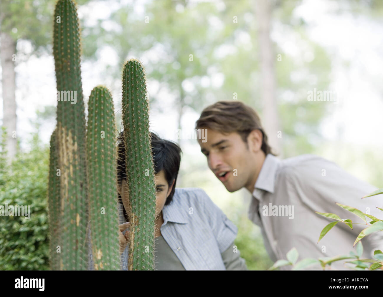 Leaning Cactus High Resolution Stock Photography and Images - Alamy