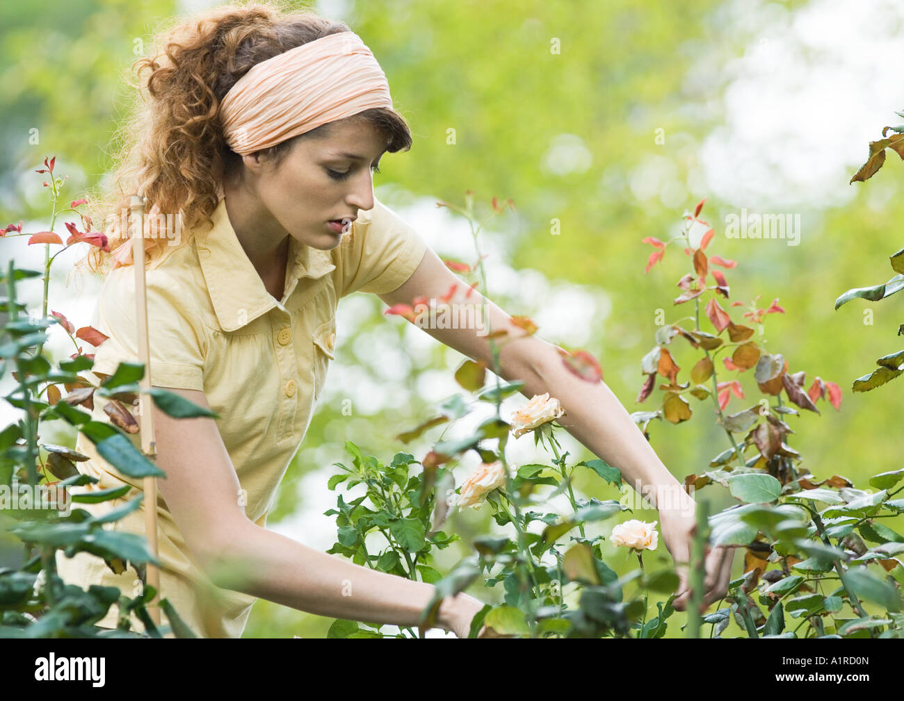 Woman doing yardwork Stock Photo - Alamy