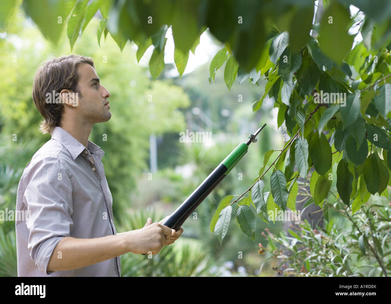 Man doing yardwork Stock Photo - Alamy