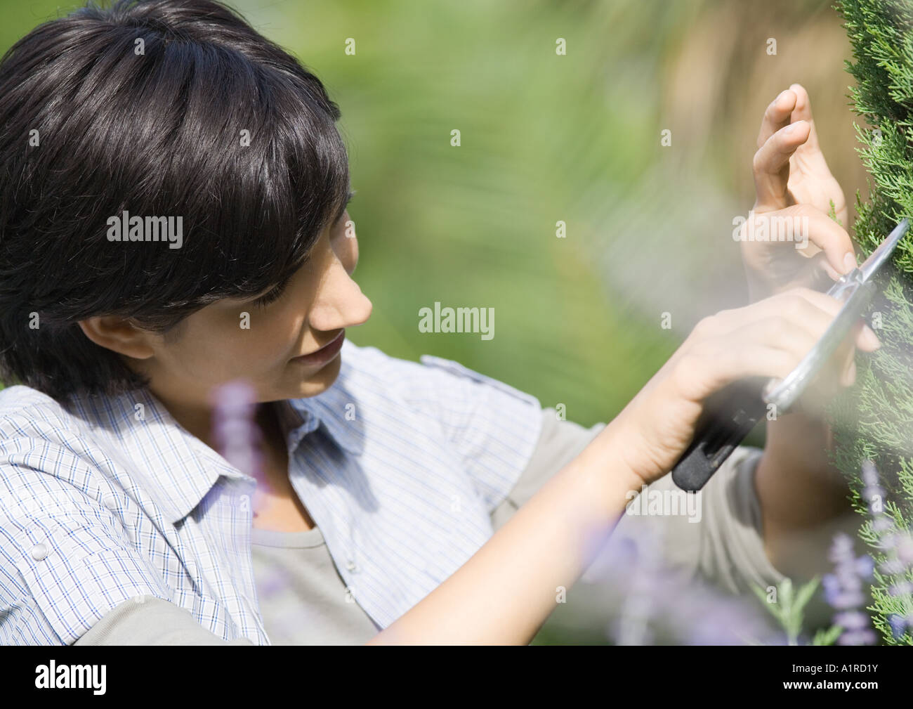 Woman doing yardwork Stock Photo - Alamy