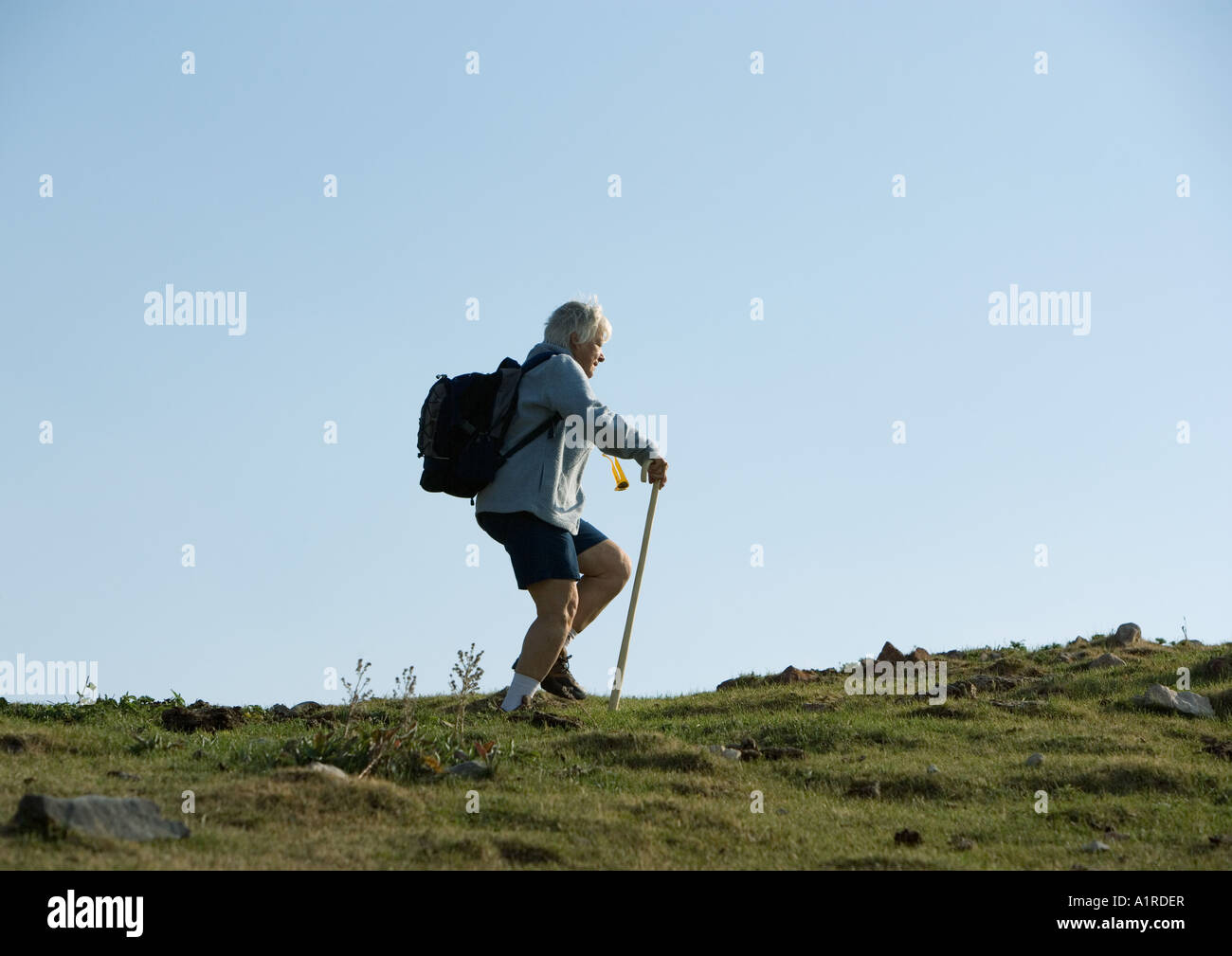 Hiker using walking stick Stock Photo - Alamy