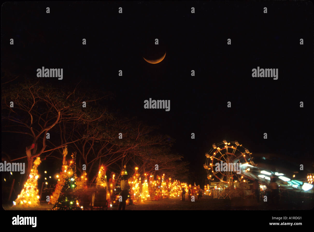 Christmas trees line up a park as carnival rides amuse people Stock ...