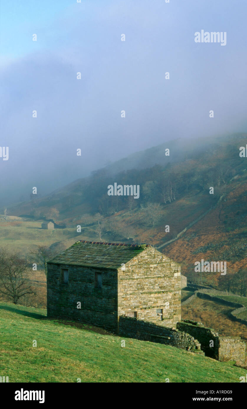 Stone barn near village of Keld, Upper Swaledale, Yorkshire Dales ...