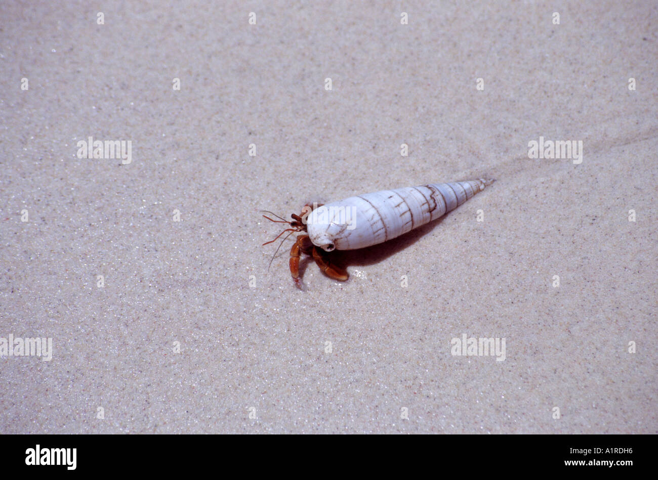 Leaving a trail behind hi-res stock photography and images - Alamy