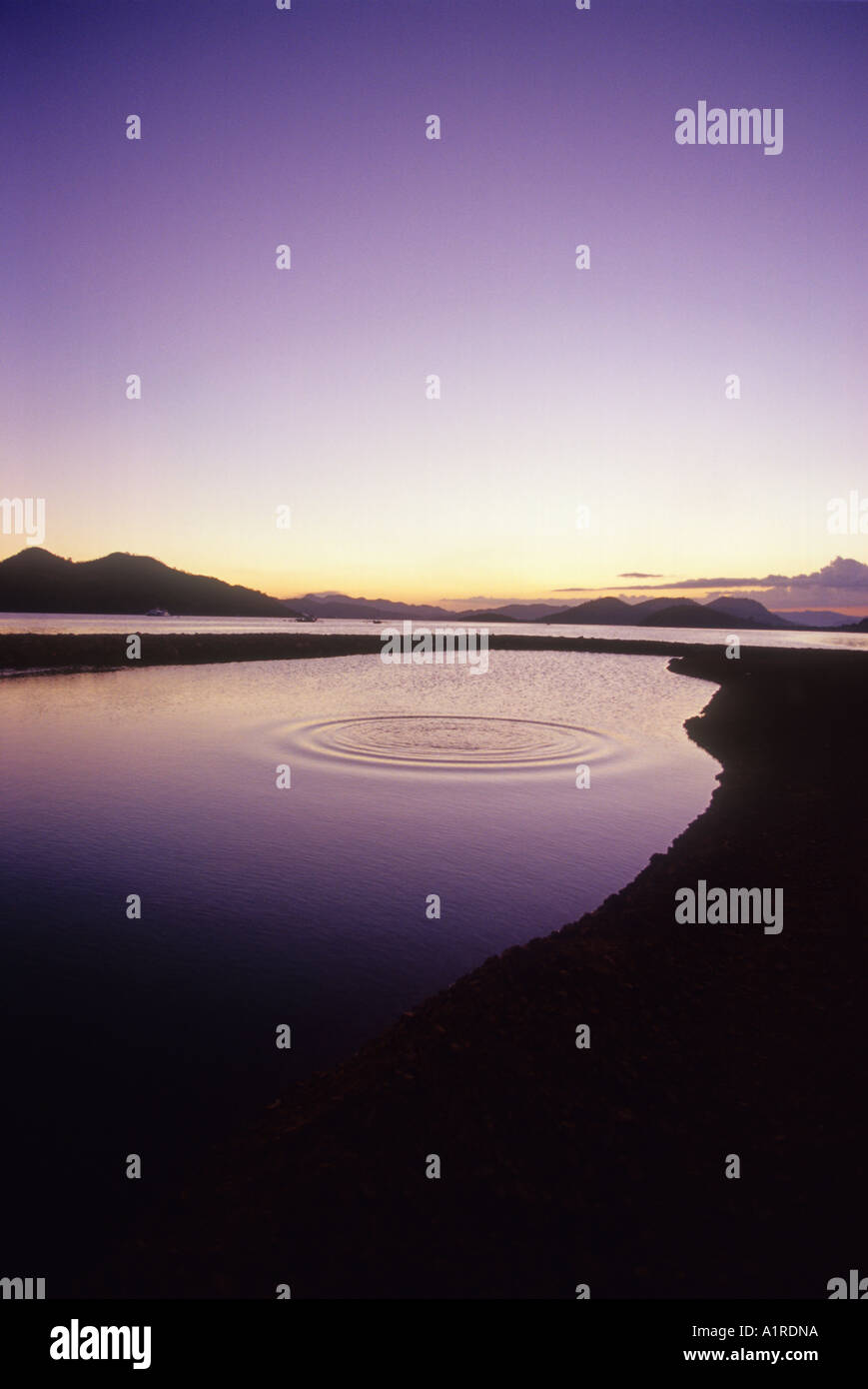 Ripples are seen in the water disturbing an otherwise motionless ...