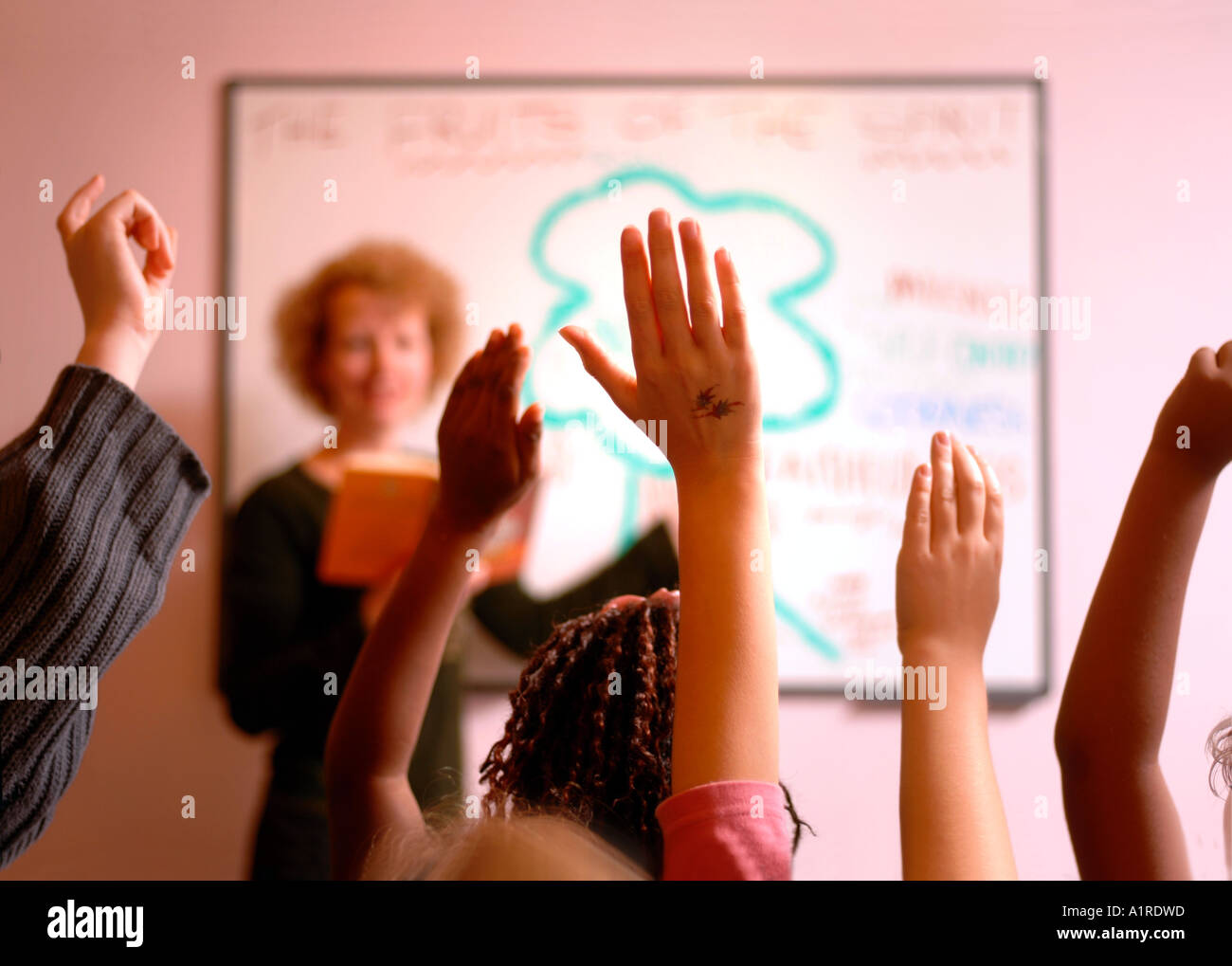 Adult Sunday School Teachers