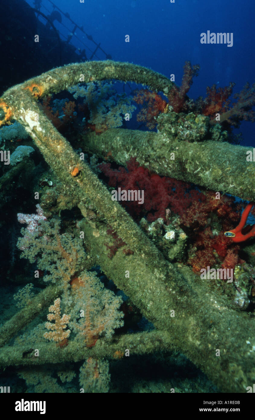 Rotes wrack hi-res stock photography and images - Alamy