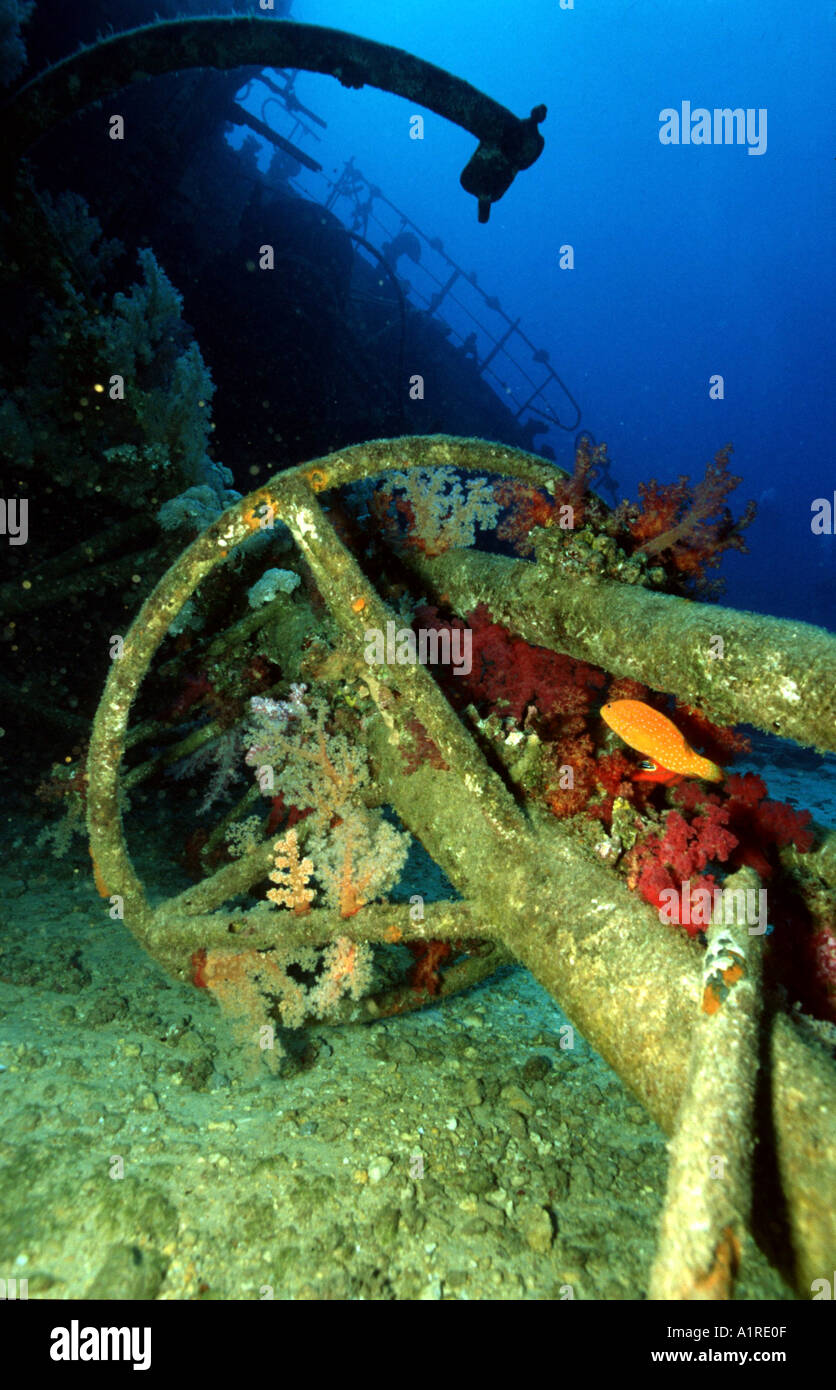 Rotes wrack hi-res stock photography and images - Alamy