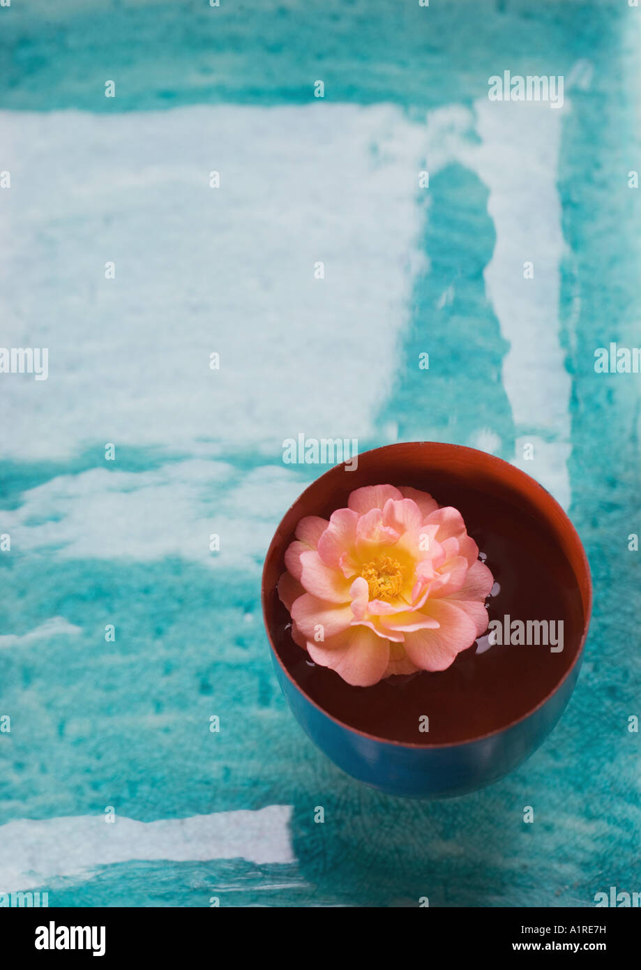 Peony flower floating in bowl Stock Photo - Alamy