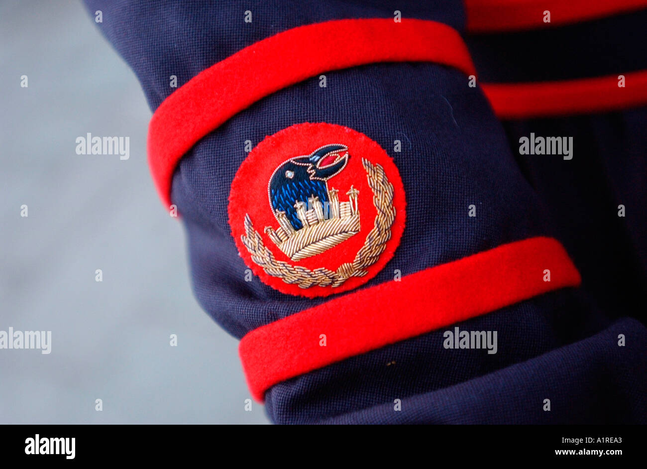 Tower Of London Beefeater Raven High Resolution Stock Photography and ...