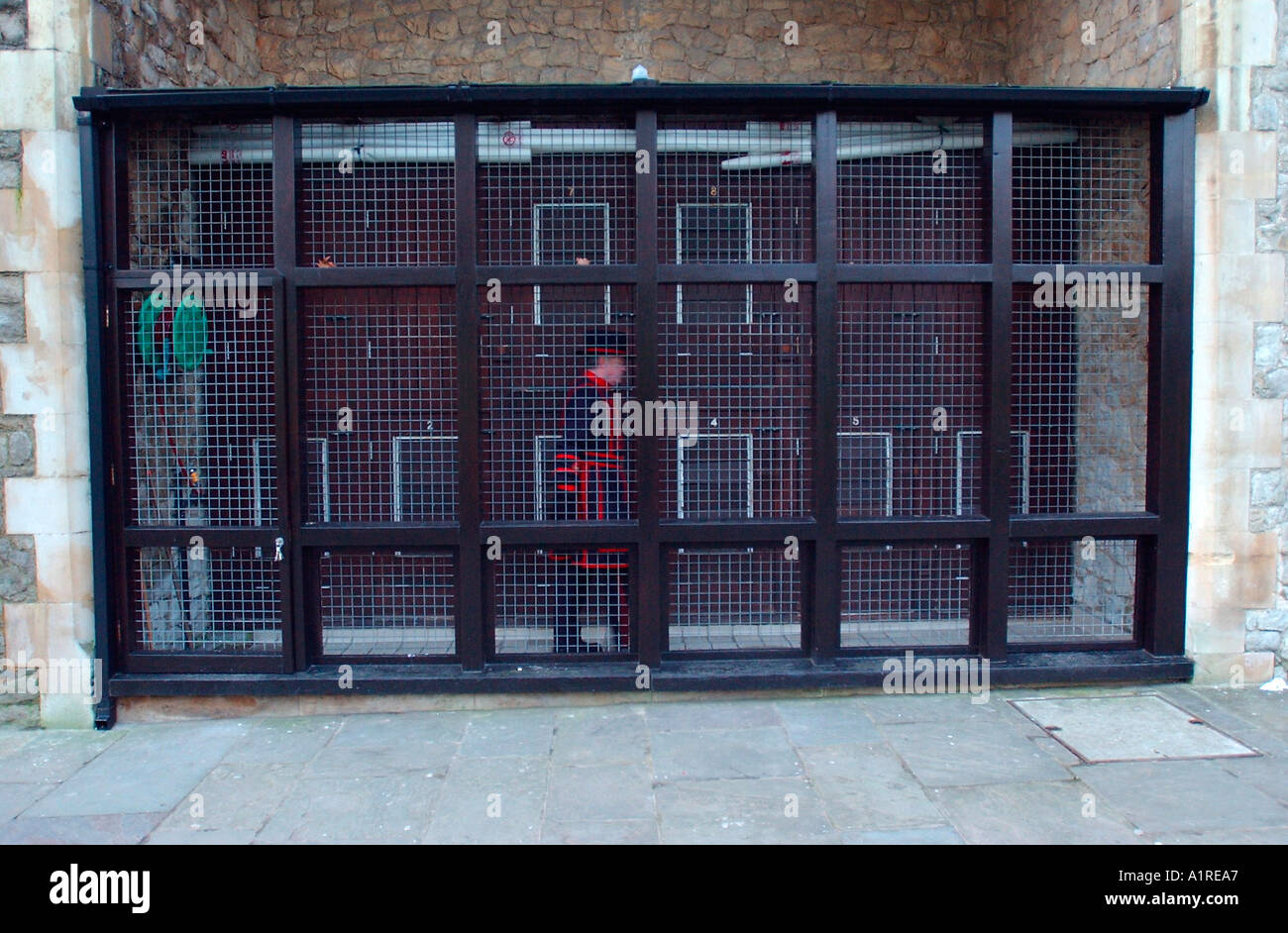 Reportage The Raven Master at the Tower of London United Kingdom Stock ...