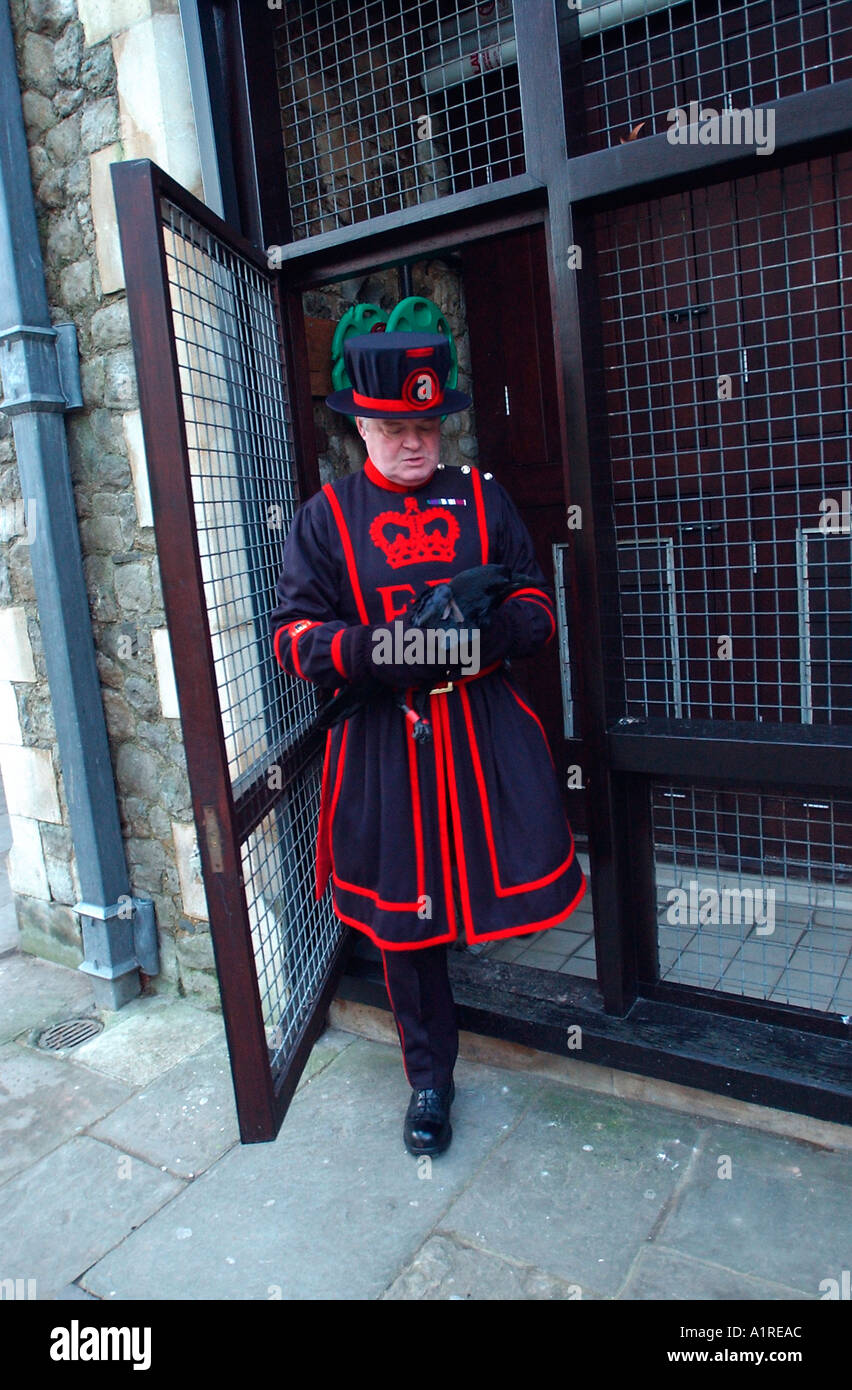 Reportage The Raven Master at the Tower of London United Kingdom Stock ...