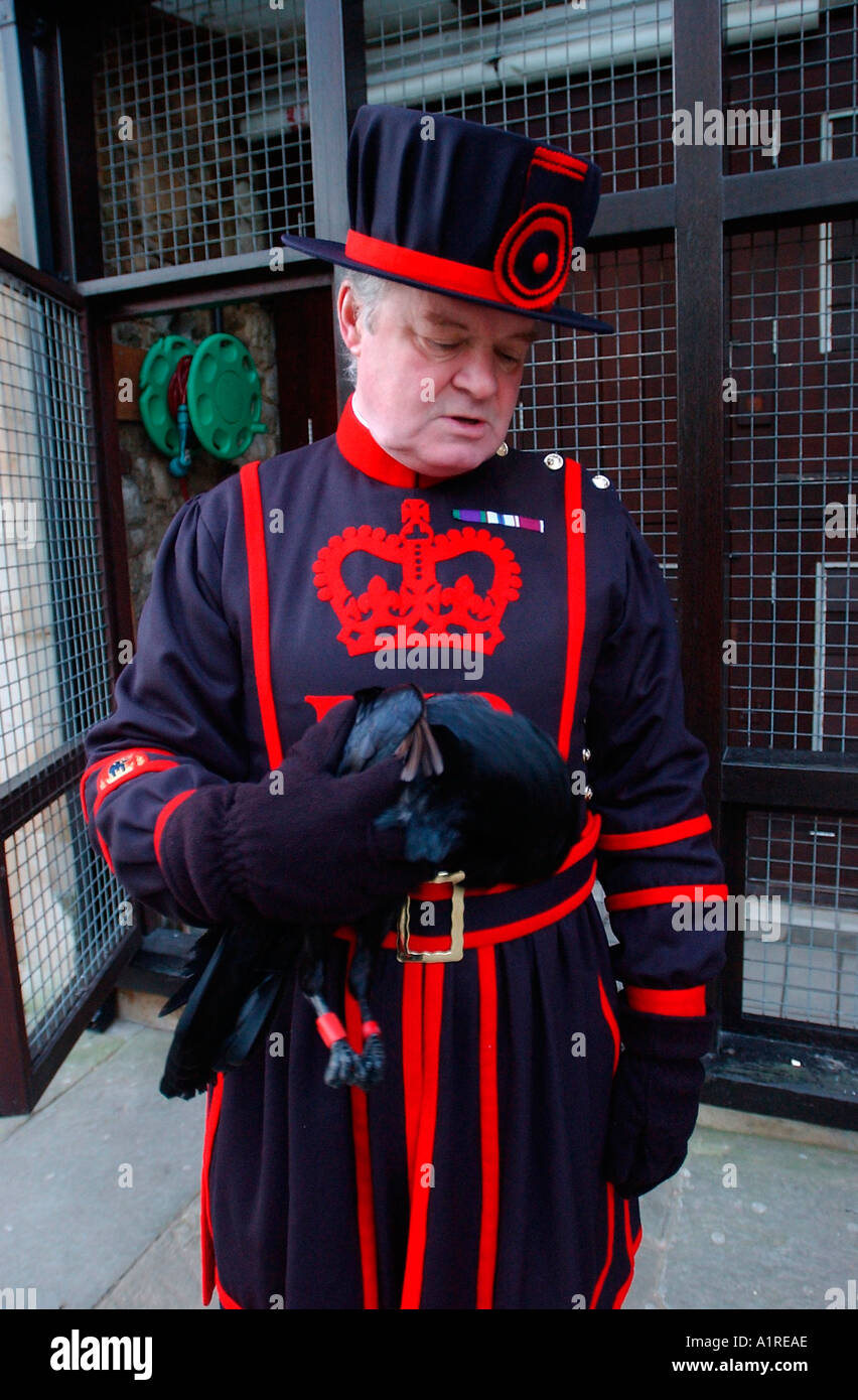 Tower of london beefeater raven hi-res stock photography and images - Alamy