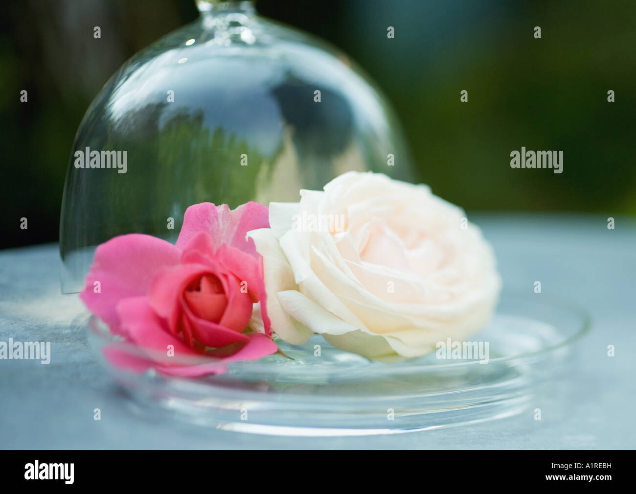 Harmony of flavours hi-res stock photography and images - Alamy