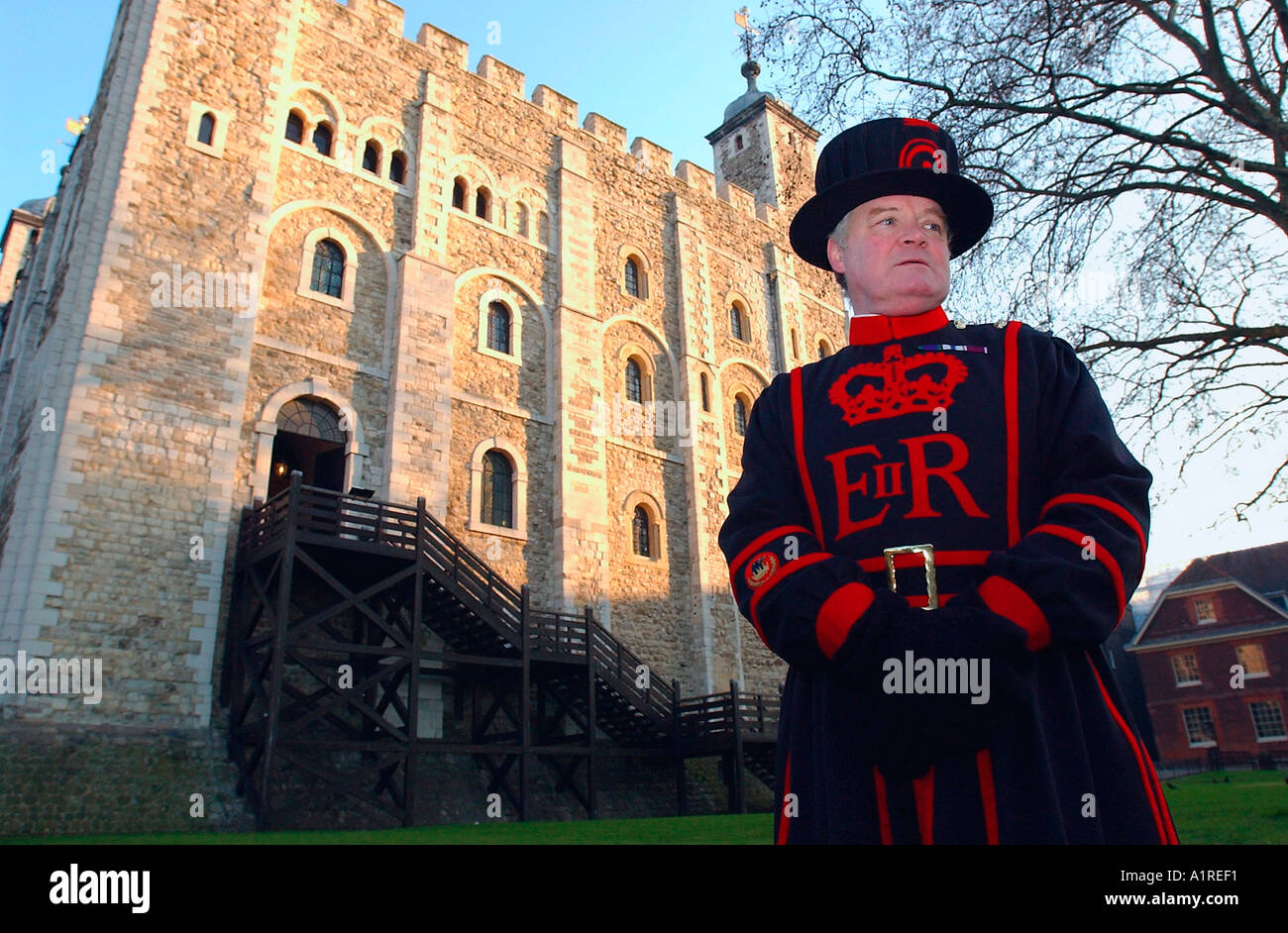 Tower of london beefeater raven hi-res stock photography and images - Alamy