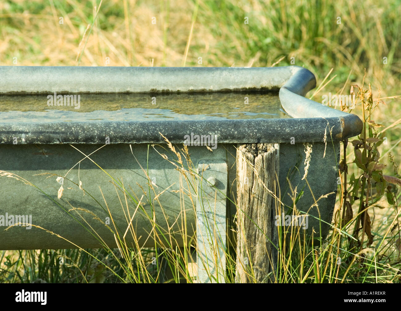 Trough of water Stock Photo - Alamy