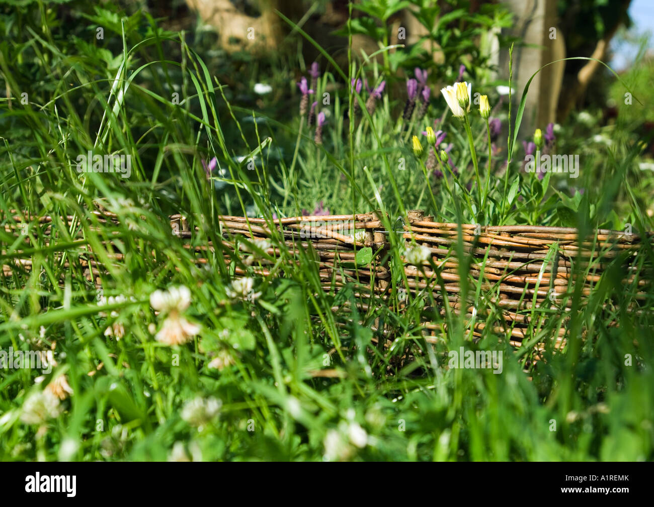 Flower bed enclosed with woven branches Stock Photo - Alamy