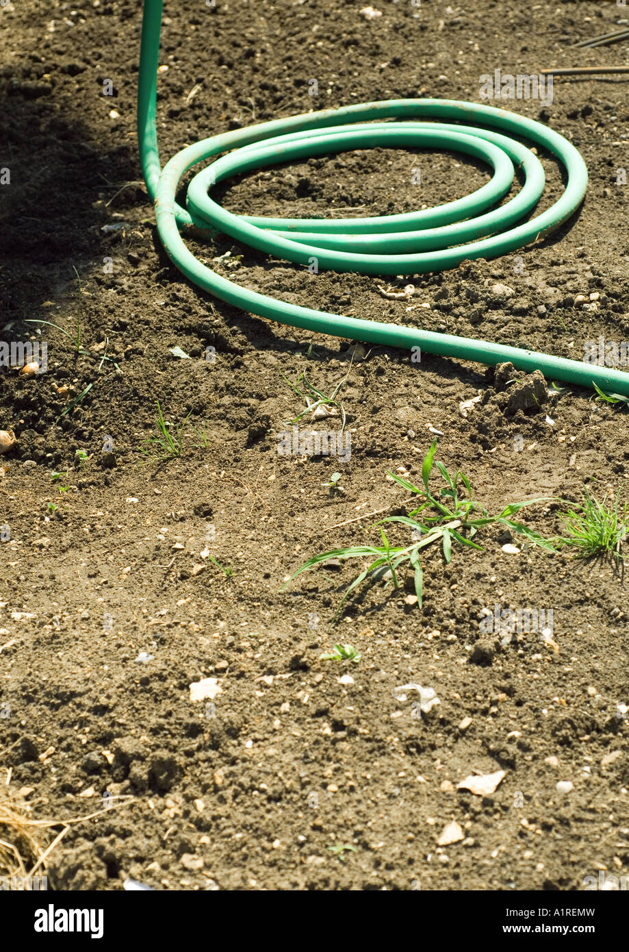 Hose on the ground hi-res stock photography and images - Alamy