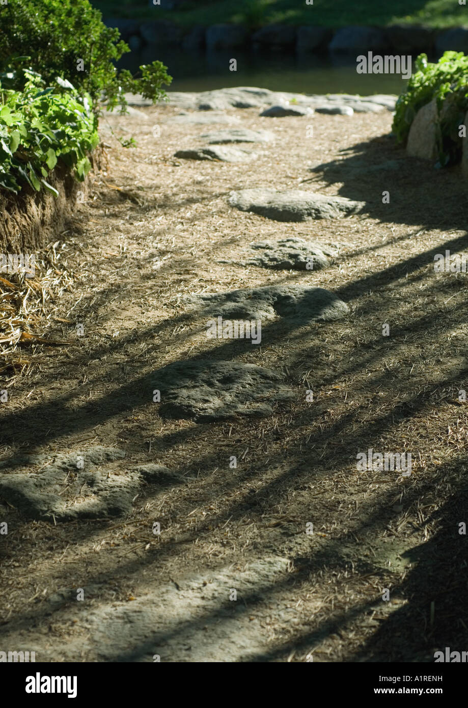 Yard ground outside outdoors daytime daylight hi-res stock photography ...