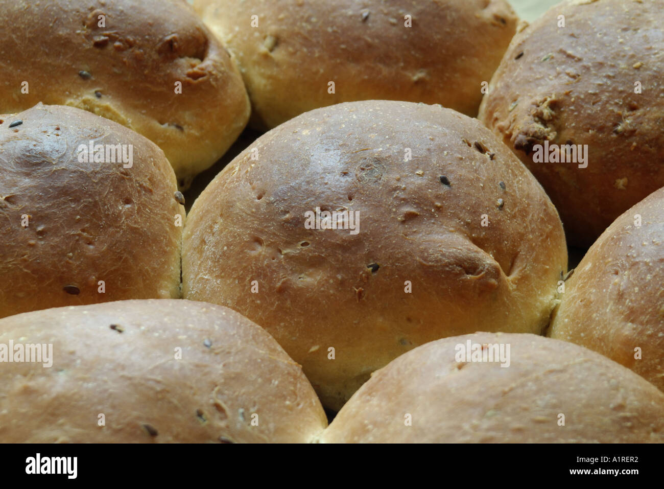Organic bread rolls Stock Photo - Alamy