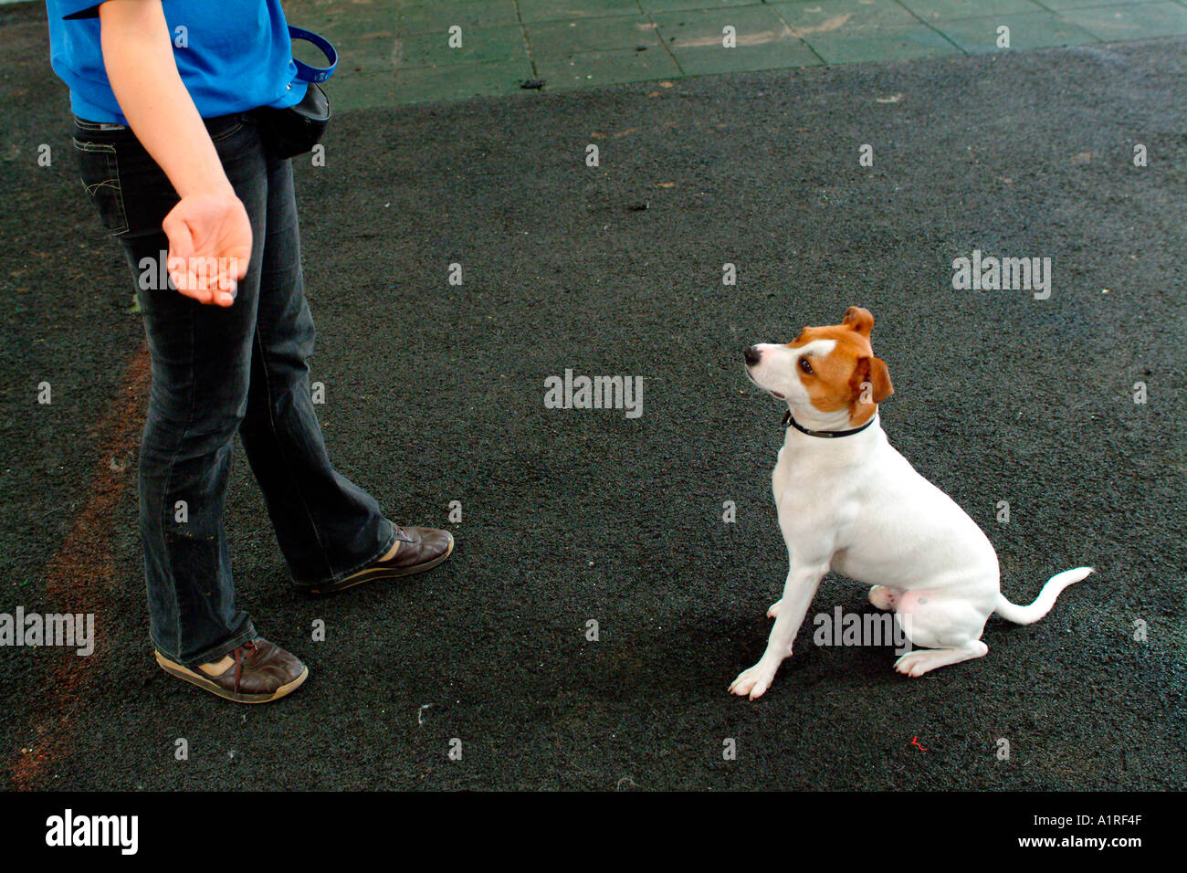 Home083 hi-res stock photography and images - Alamy