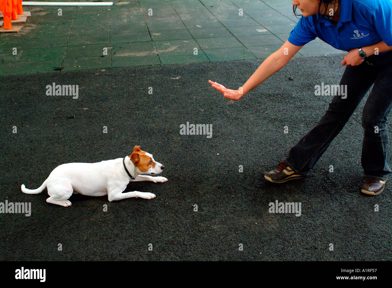 Home086 hi-res stock photography and images - Alamy