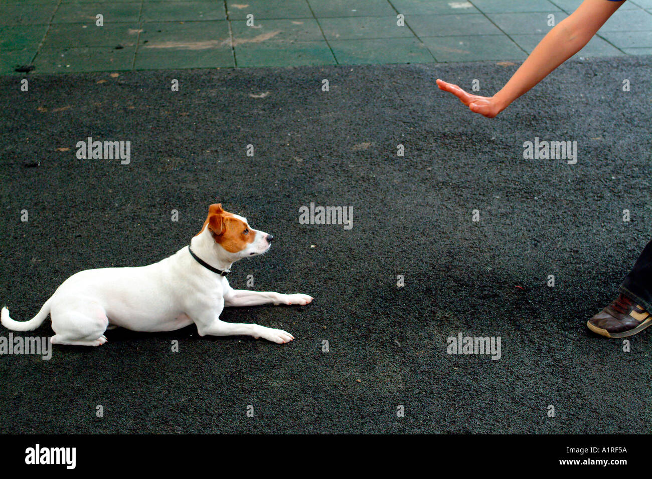 Home089 hi-res stock photography and images - Alamy