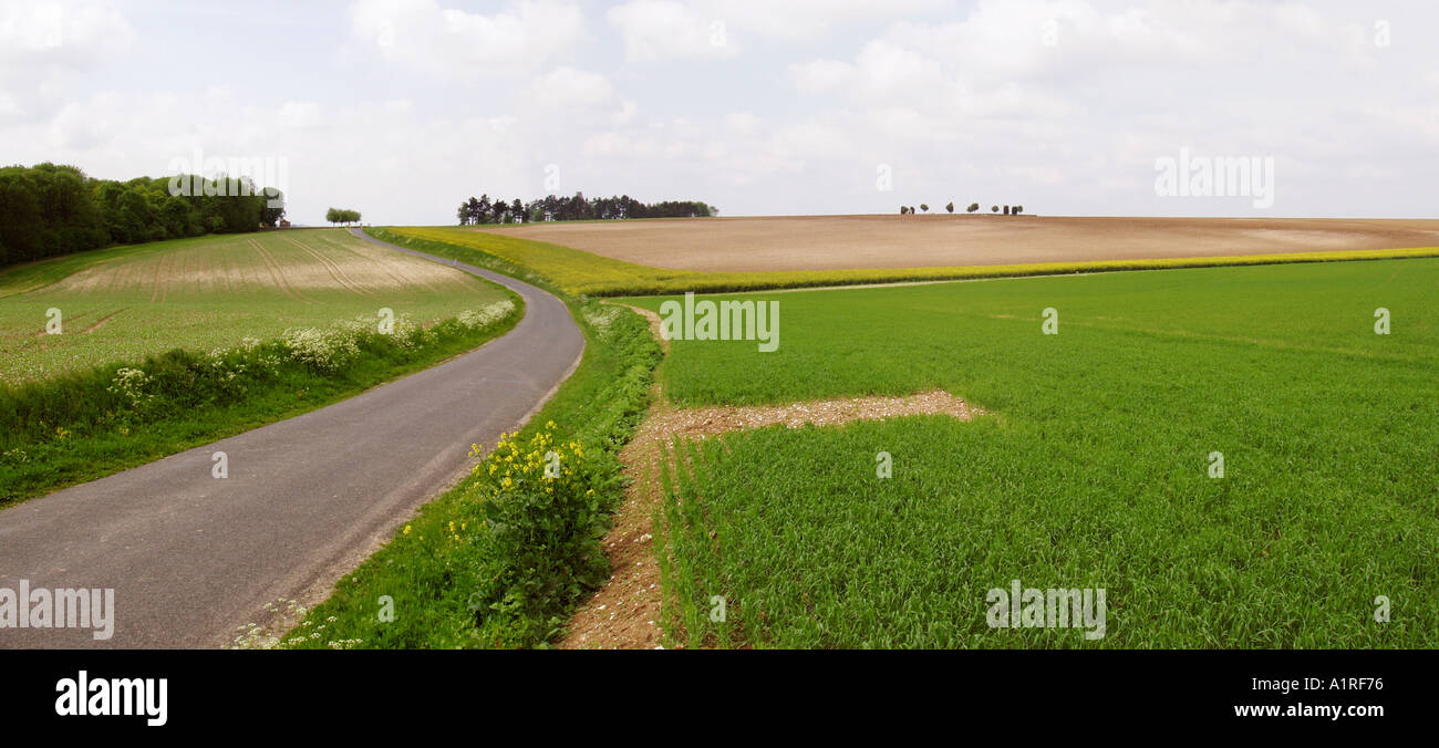 Ulster Tower Panorama Stock Photo - Alamy