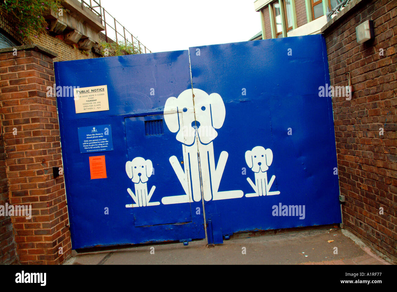Batttersea Dog s Home London United Kingdom Stock Photo - Alamy