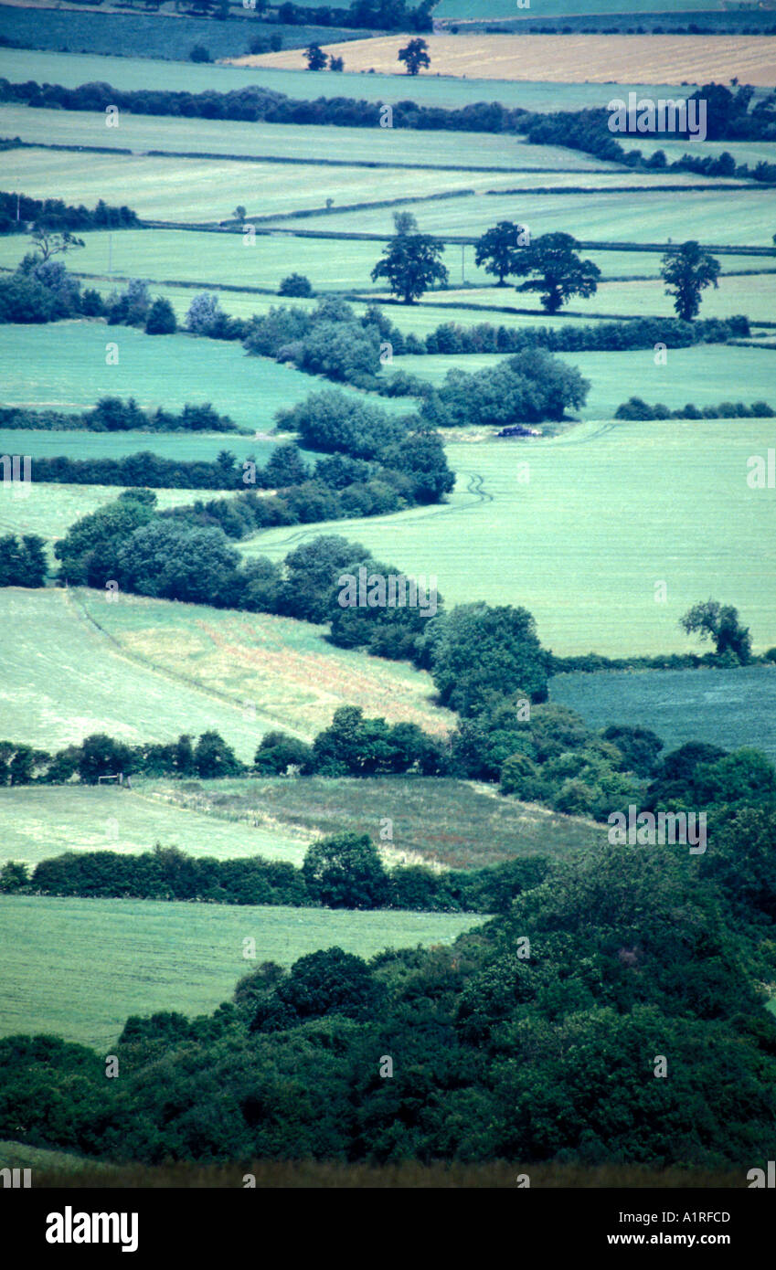 Hedgerows in england pictures hi-res stock photography and images - Alamy