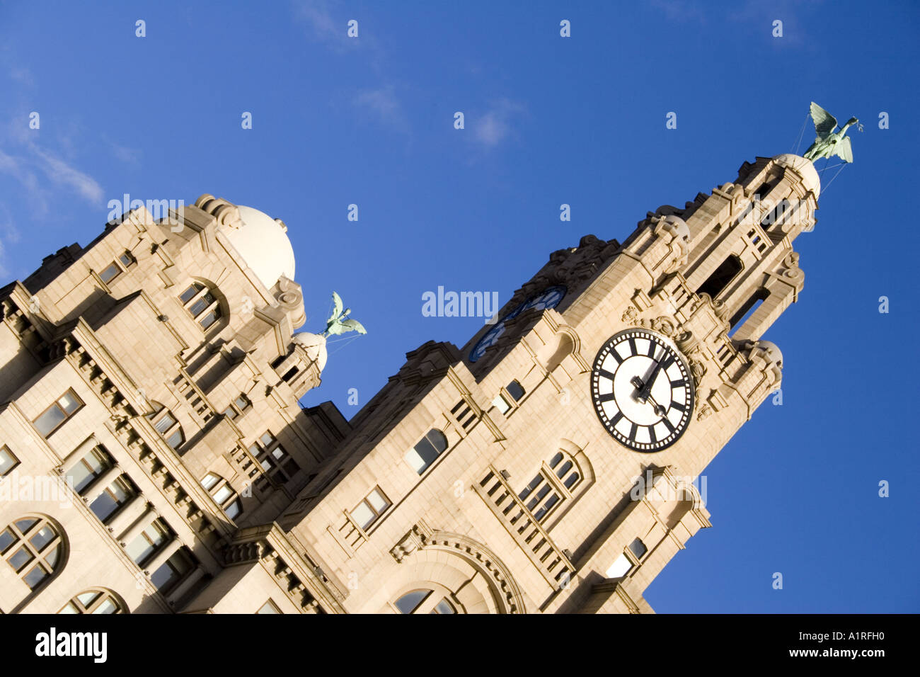 Liverbuilding hi-res stock photography and images - Alamy