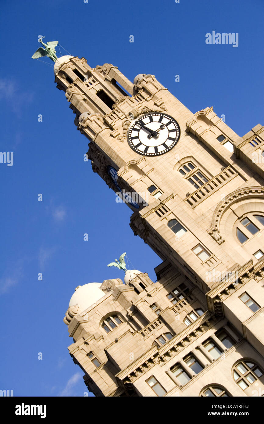 Liverbuilding hi-res stock photography and images - Alamy